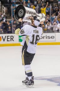 Falk Fehr Foundation